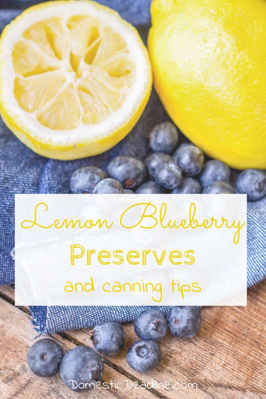 Lemon Blueberry Preserves Homemade Easy Canning Domestic Deadline