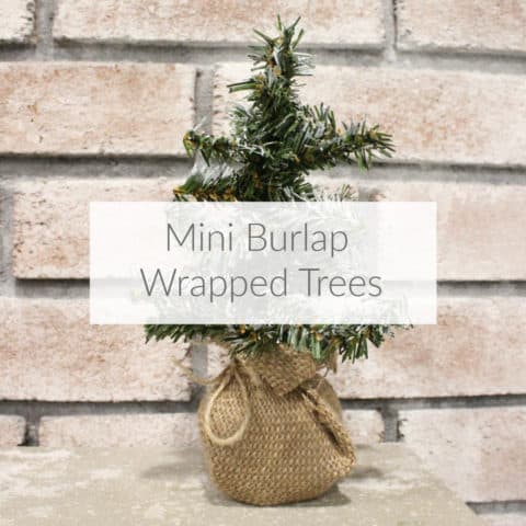 DIY Mini Burlap Wrapped Trees | HarperNCo