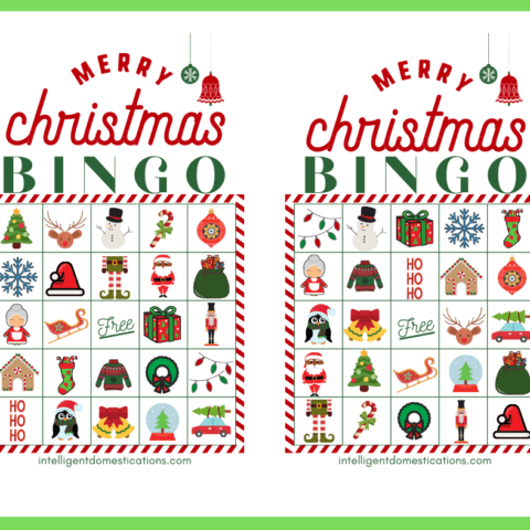 Festive Christmas Games - Christmas Light Bingo with Free Printable ...